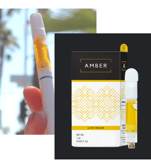 Home | Amber